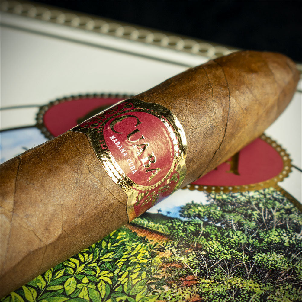 Cuaba Salomones Cuban Cigar - Single Smoke-King