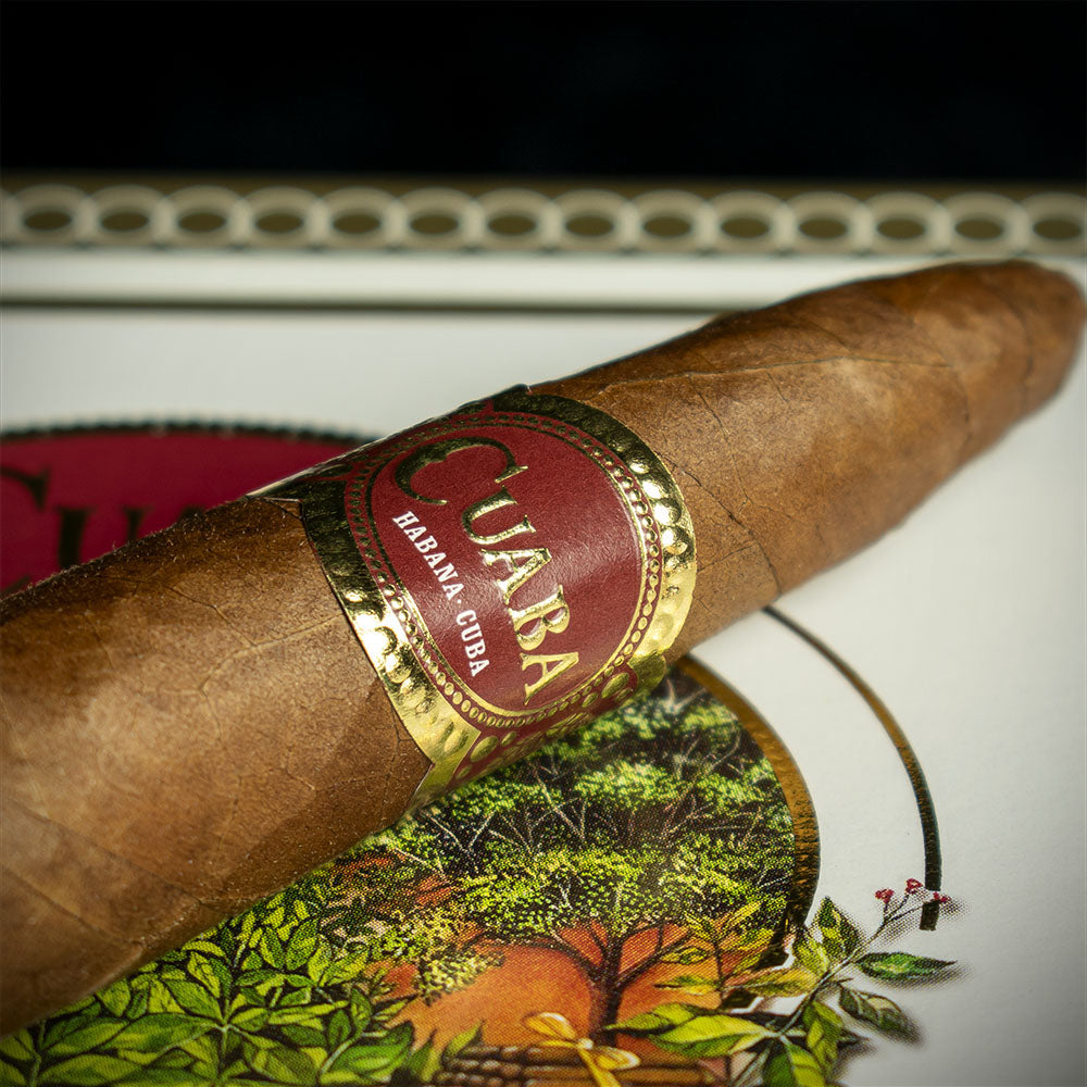 Cuaba Tradicionales Cuban Cigar - Single SMOKE-KING