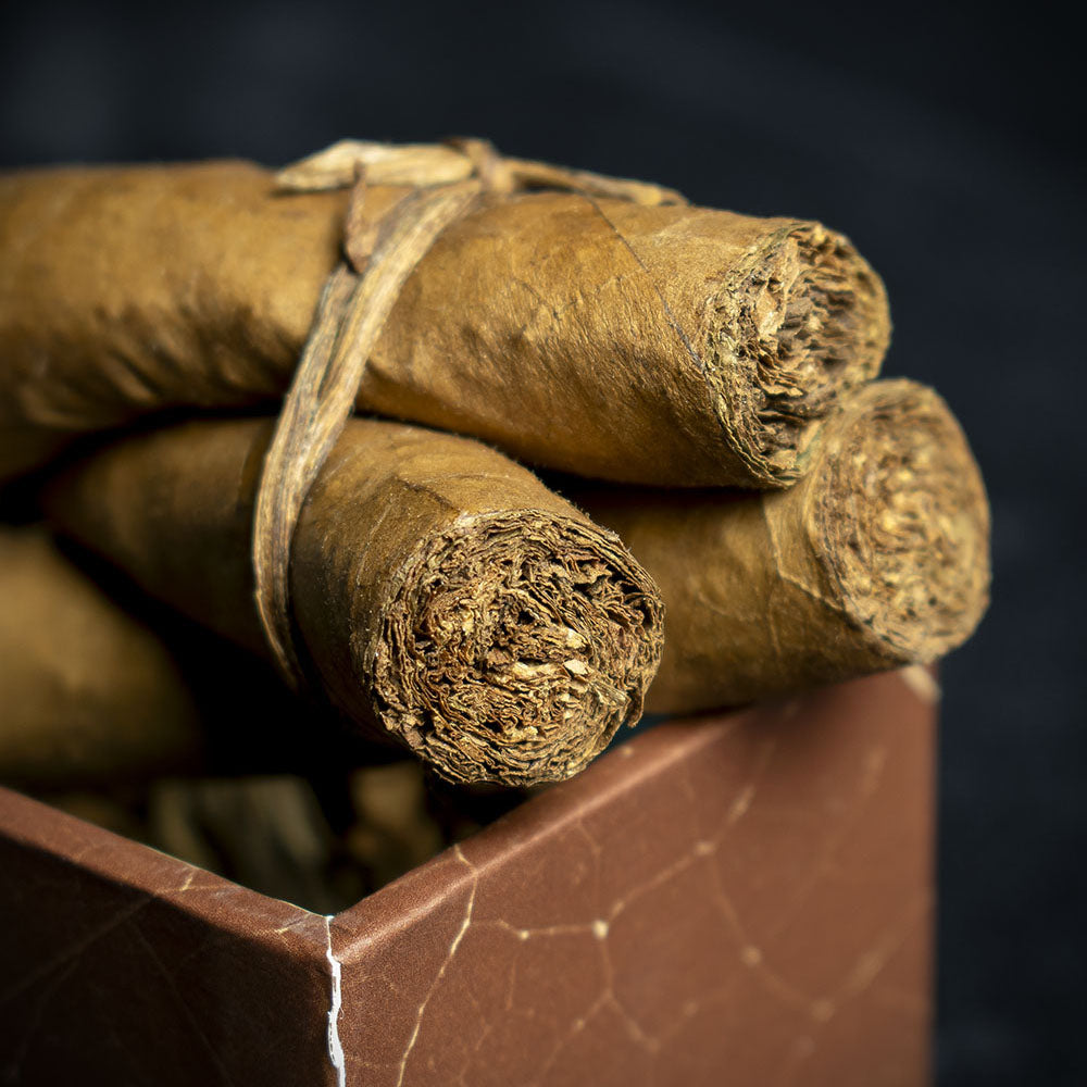 Chinchalero Culebras Braided Nicaraguan Cigars - Box of 3 Smoke-King