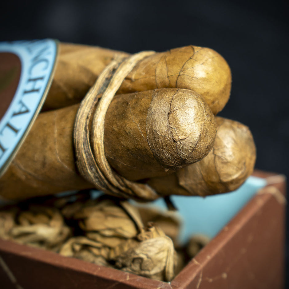Chinchalero Culebras Braided Nicaraguan Cigars - Box of 3 Smoke-King